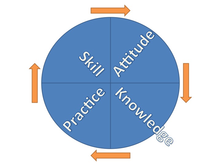 The Mastery Cycle | CJ's Corner